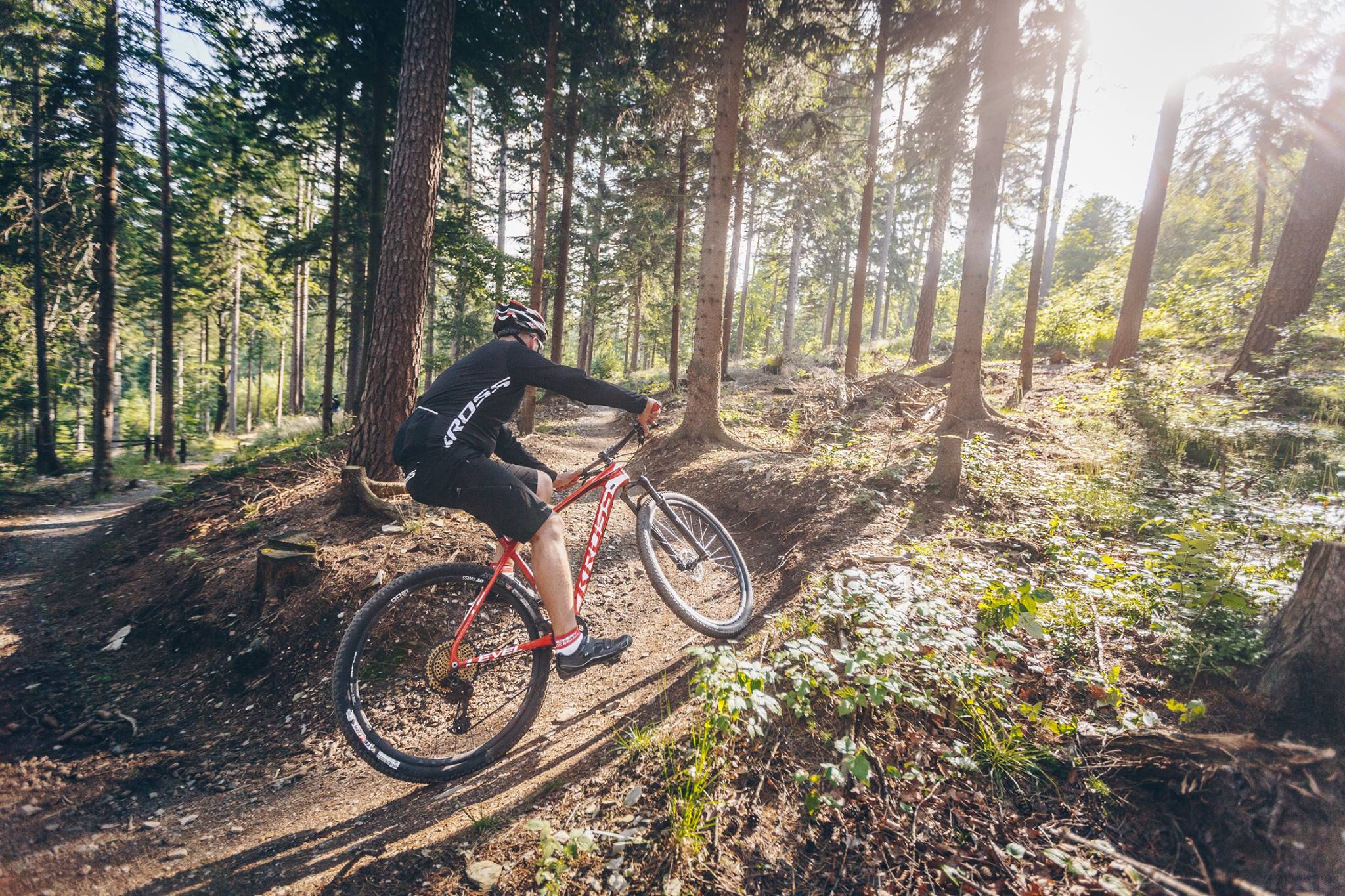 Rower XC - hit sezonu... 2019?