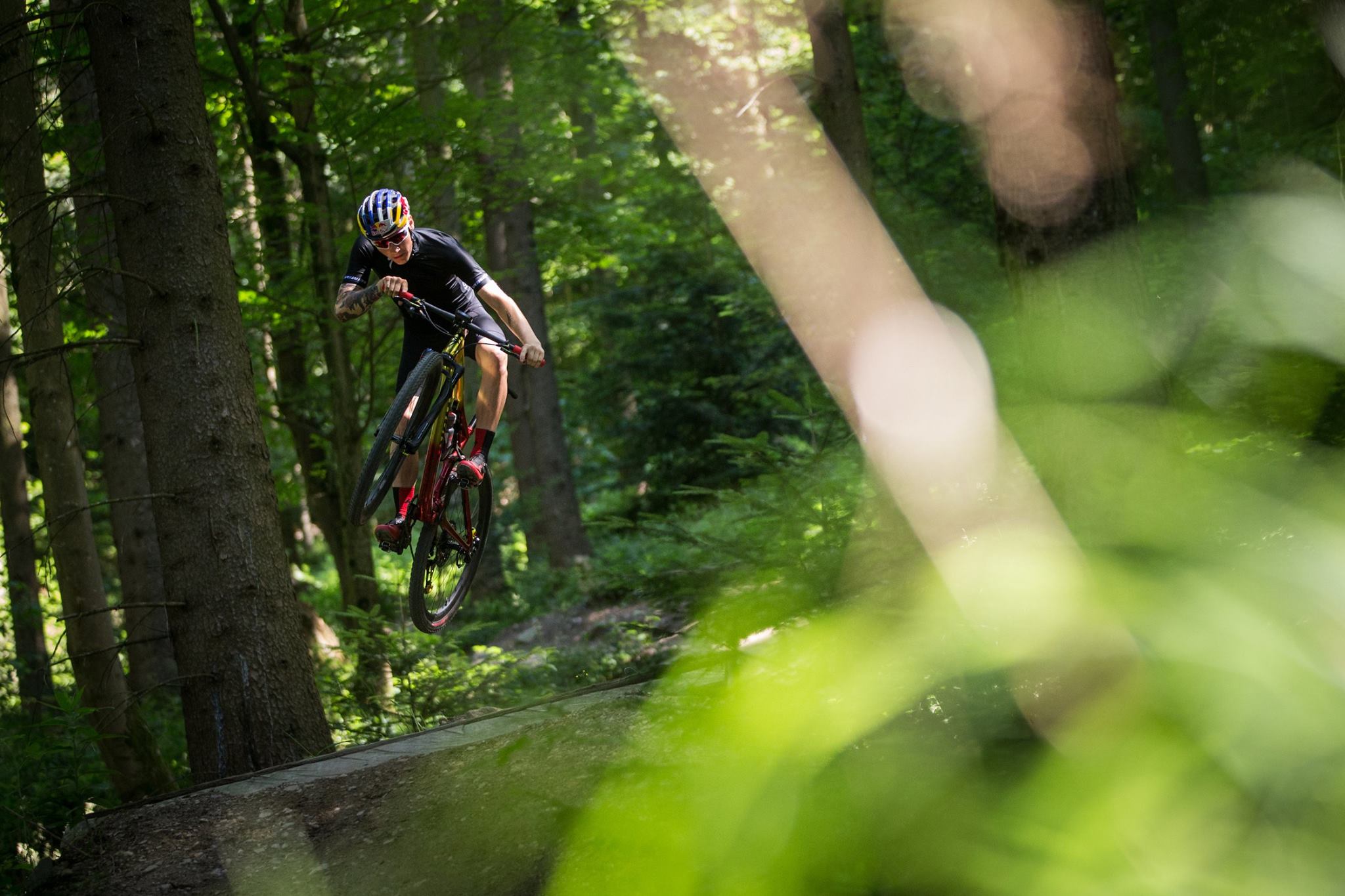 Rower XC - hit sezonu... 2019?