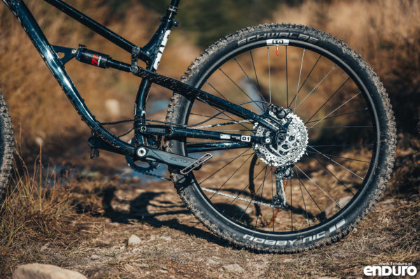 Test: Octane One OMG 2020